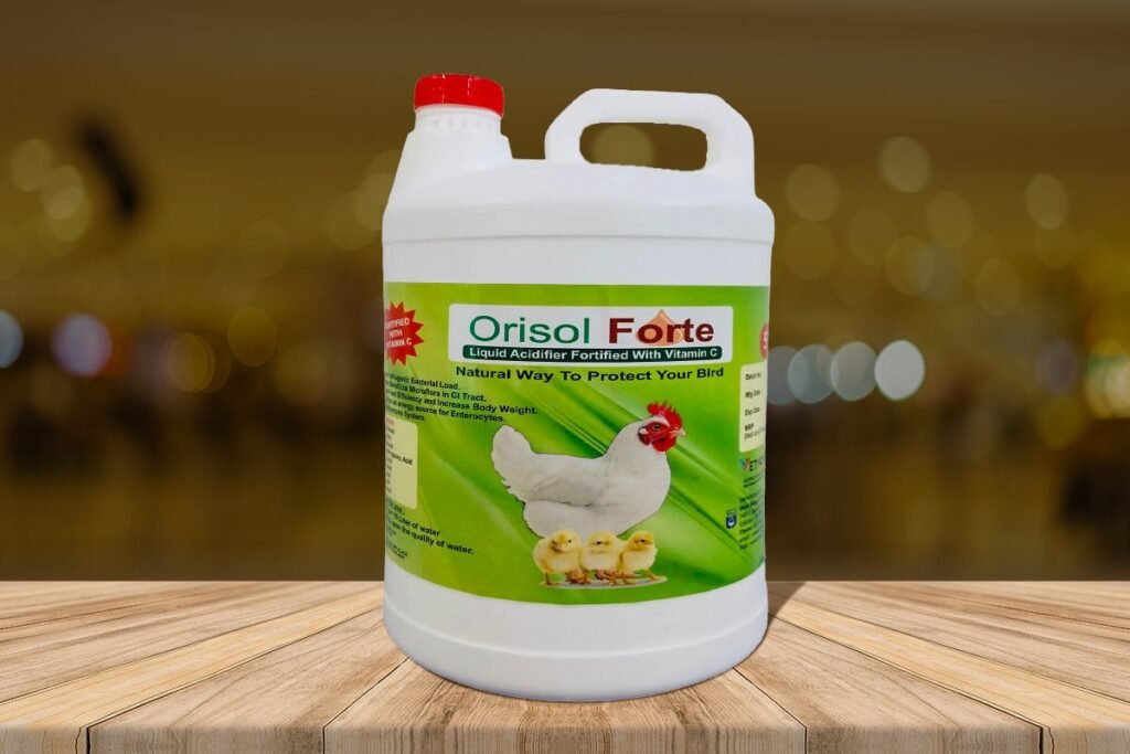 Orisol Forte :Liquid Acidifier for Poultry | Improve Gut Health & FCR