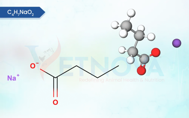 Sodium Butyrate C4H7NaO2 | Gut Health & Immunity Boost