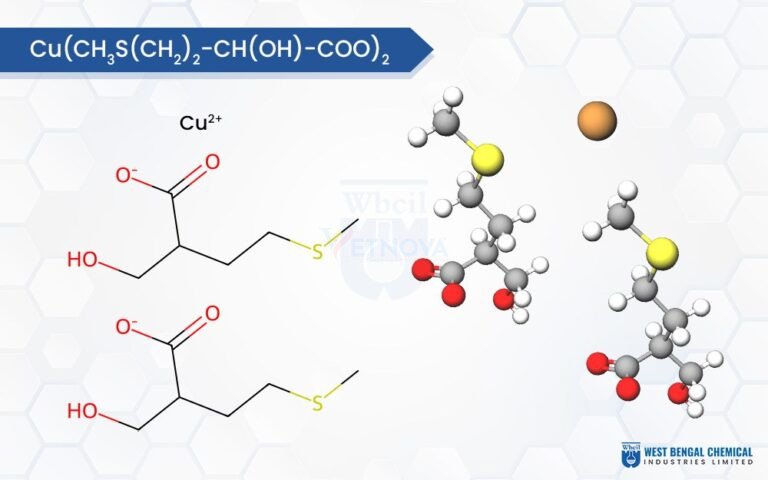 Metho Chelated Copper | Stable Copper Source for Nutrition